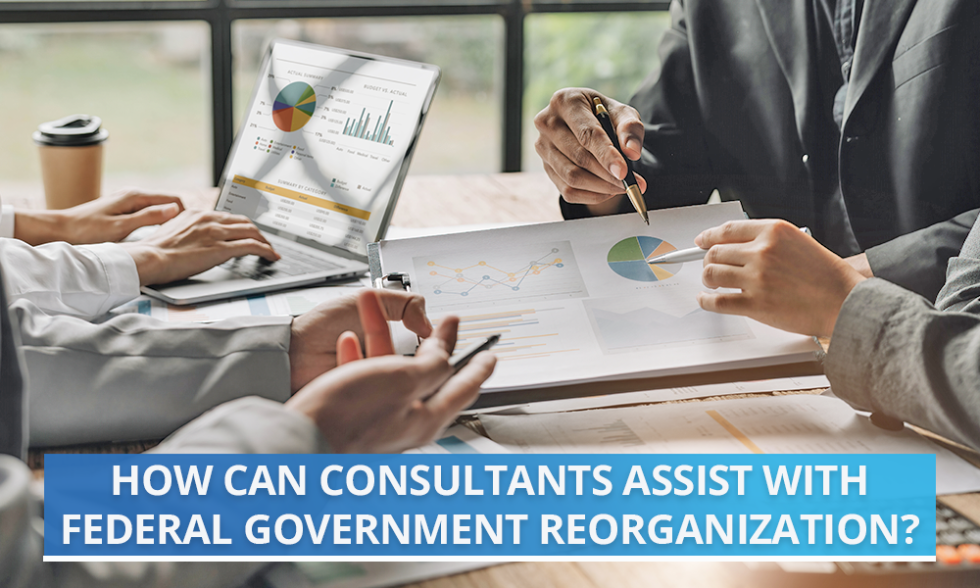 Government Reorganization: How Consultants Drive Efficiency